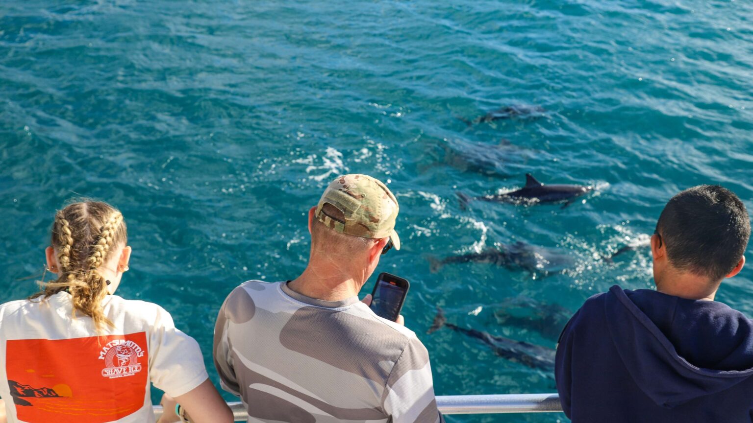 National Dolphin Day: When, Why, and How We Celebrate These Incredible ...