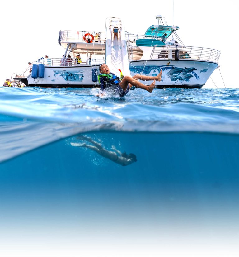 2026 Best Oahu Dolphin Tour with Lunch and Pickup