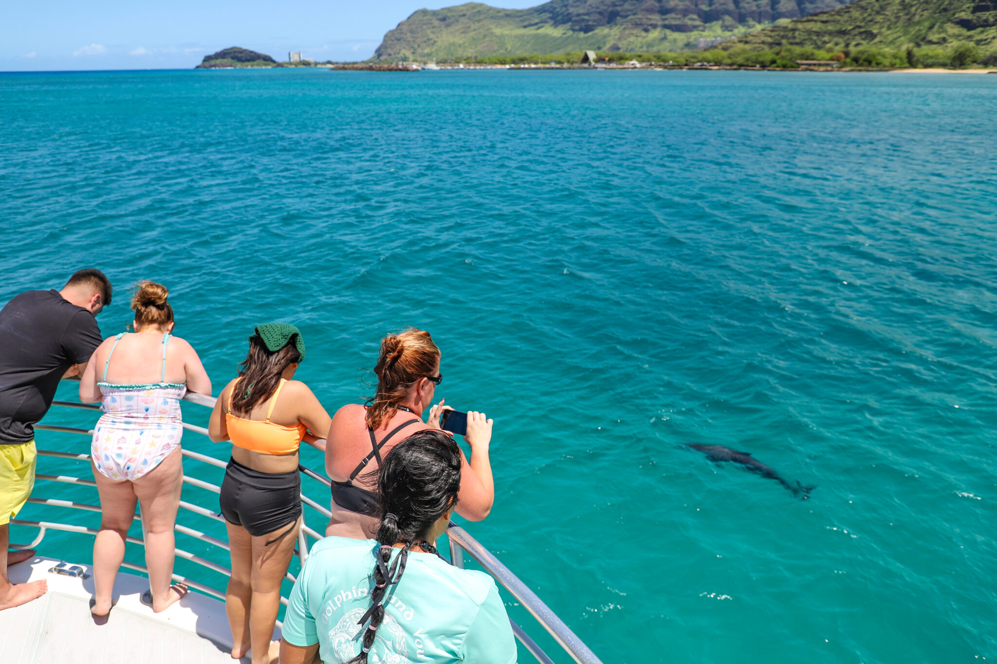 Oahu Dolphin Tour: Dive into the Magic with Dolphins and You