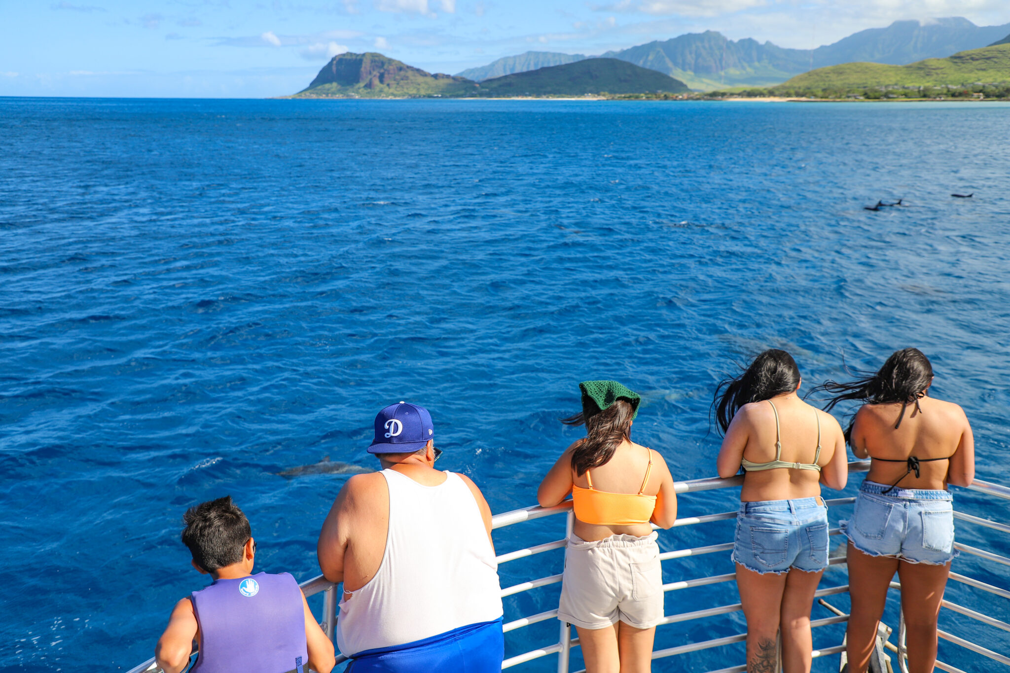 Oahu Dolphin Tour: Dive into the Magic with Dolphins and You