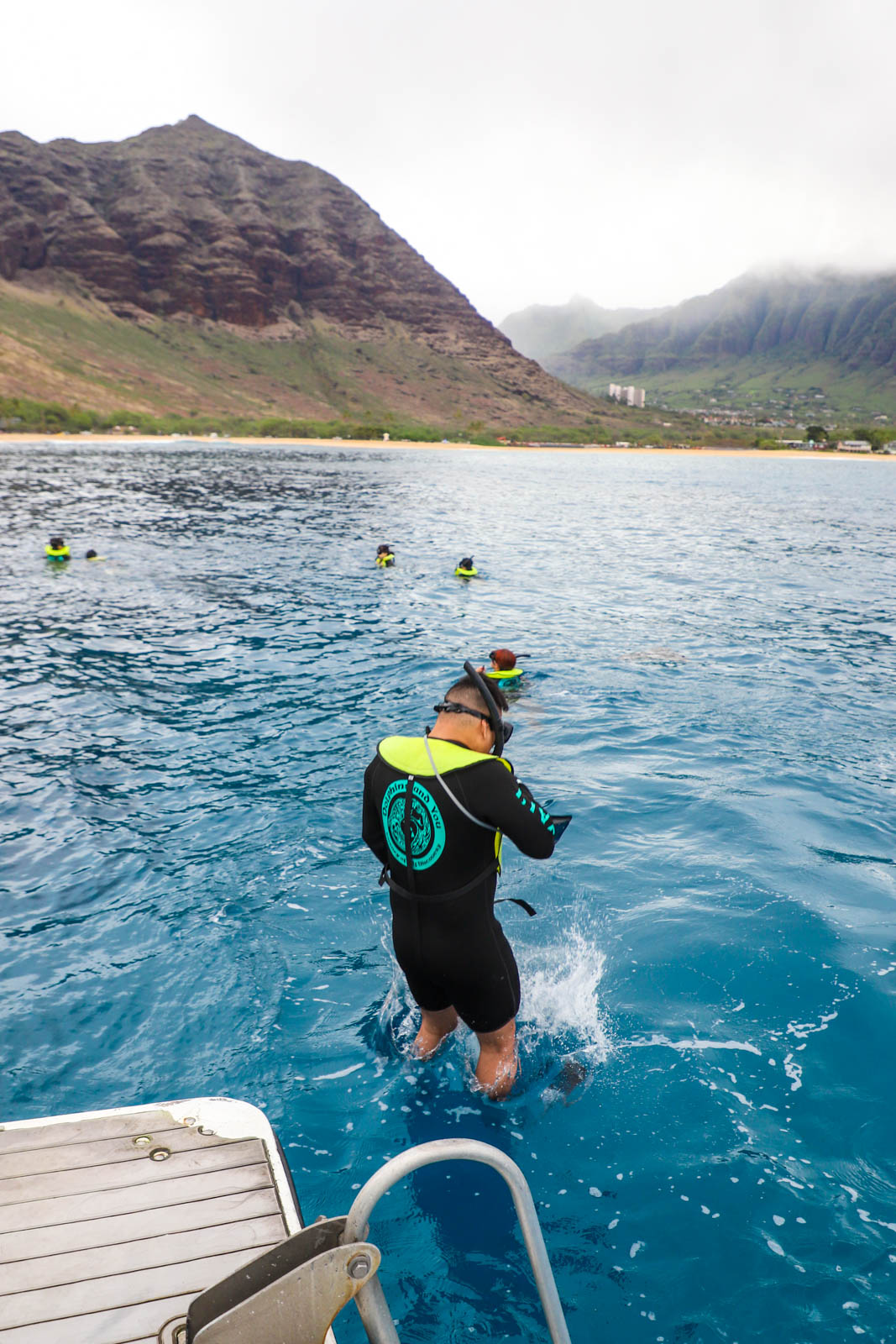 Stay Warm and Safe with Wetsuits during Oahu Dolphin Activity! Dolphins ...