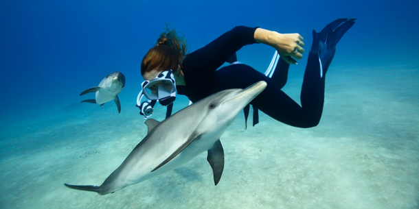 Dolphin-Human Connections: Stories of Extraordinary Encounters ...
