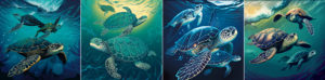 Do Sea Turtles have any Natural Predators? - Dolphins And You