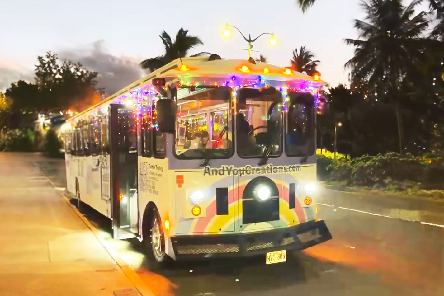 ハワイで野生のイルカに逢いに行く人気のツアー ドルフィン＆ユー