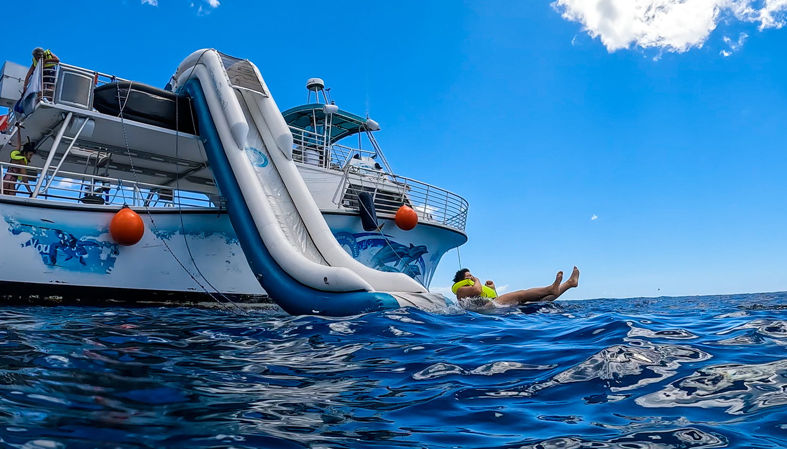 Oahu Dolphin Tour: Dive into the Magic with Dolphins and You